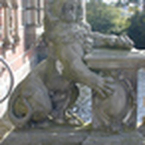 Micetrap Radio - Maple Shade, NJ