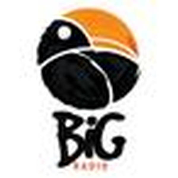 Big Radio 1 - FM 93.6 - Banja Luka - Listen Online