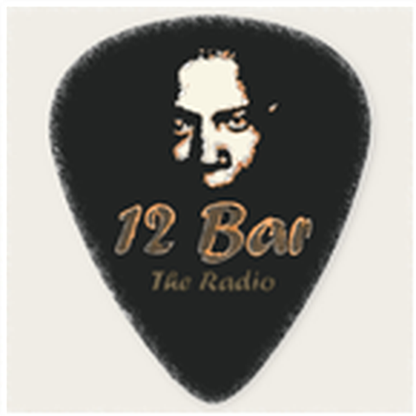 12 Bar - The Radio - Algiers
