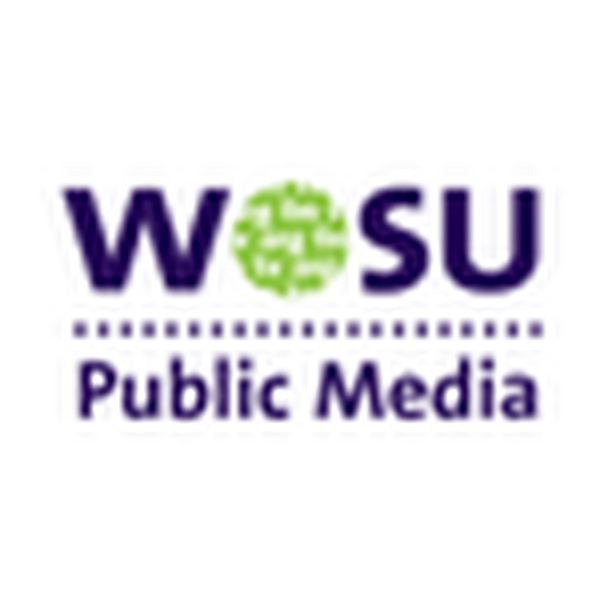 WOSU-FM - WOSV - FM 91.7 - Mansfield, OH - Listen Online