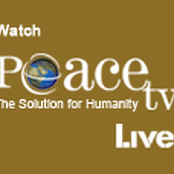 Peace TV - New Delhi, DL