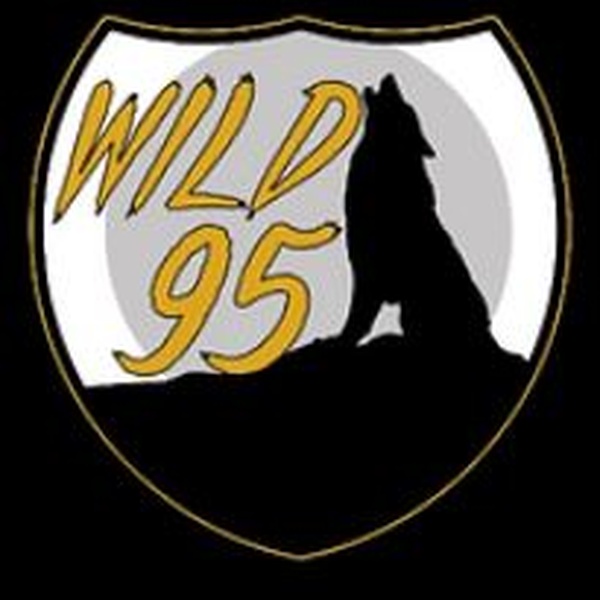Audilous - Wild 95 - Alexandria, VA