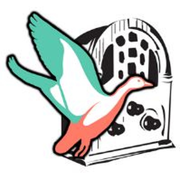 WTED Goose Radio - Dallas, TX - Listen Online